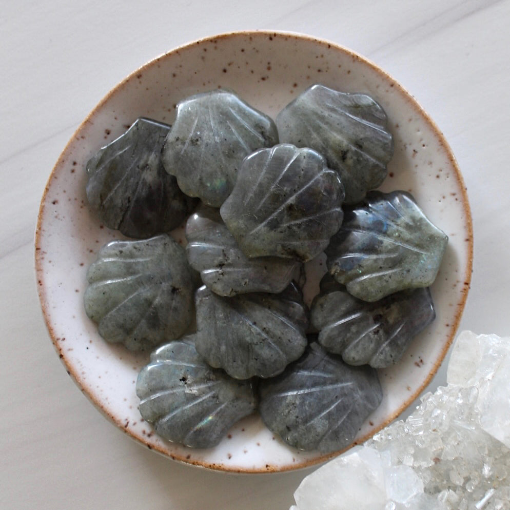 Labradorite Seashell Carving – Pebble House