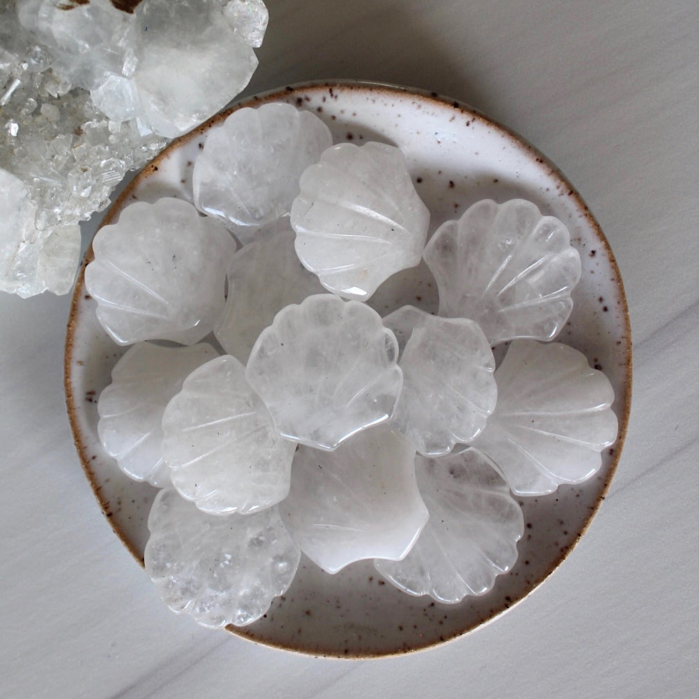 Quartz Seashell Carving – Pebble House